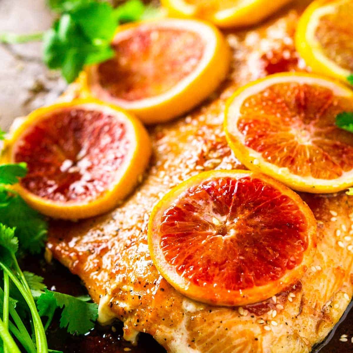 Slow-Roasted Blood Orange Salmon - Burrata and Bubbles