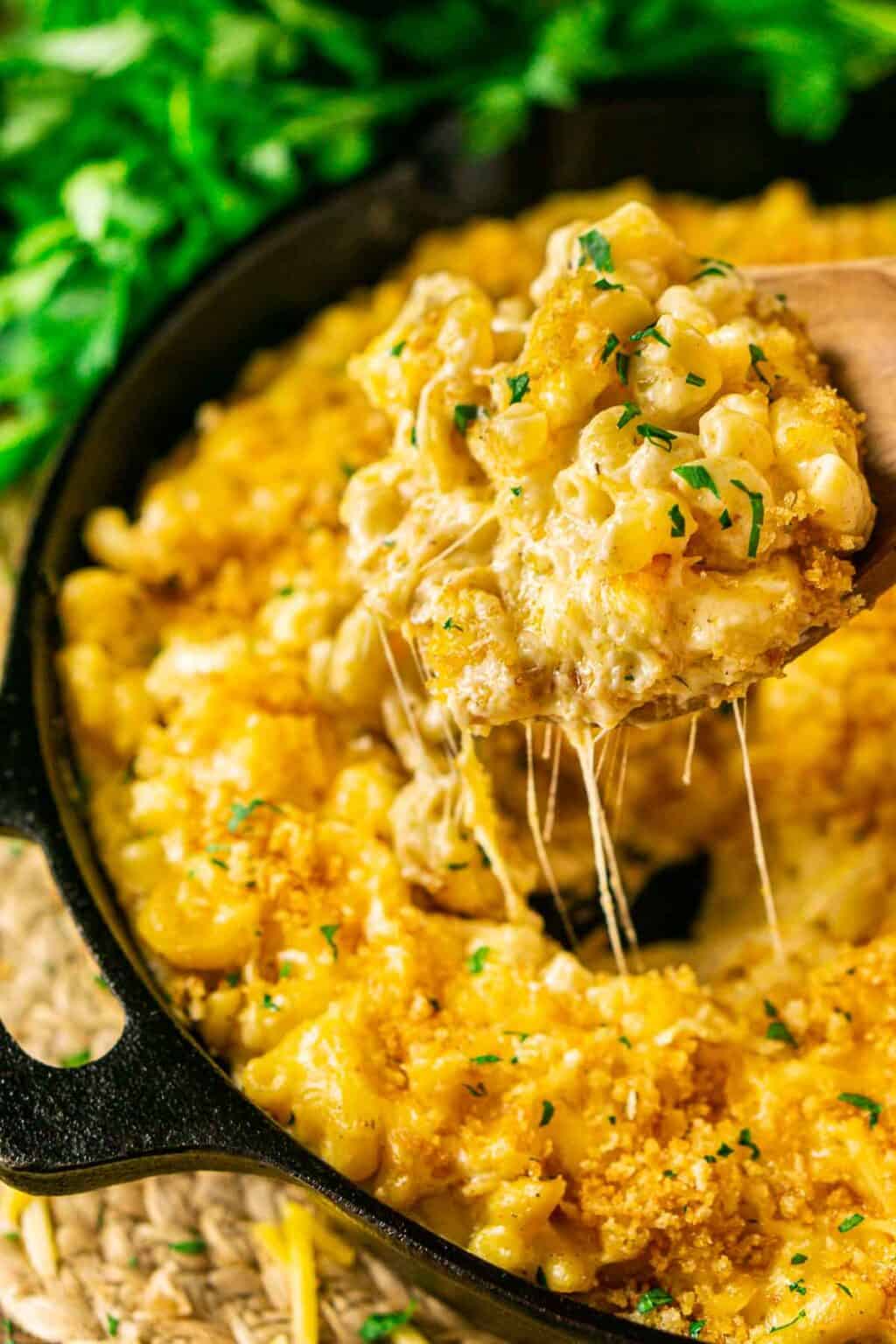 The Ultimate Smoked Mac and Cheese - Burrata and Bubbles